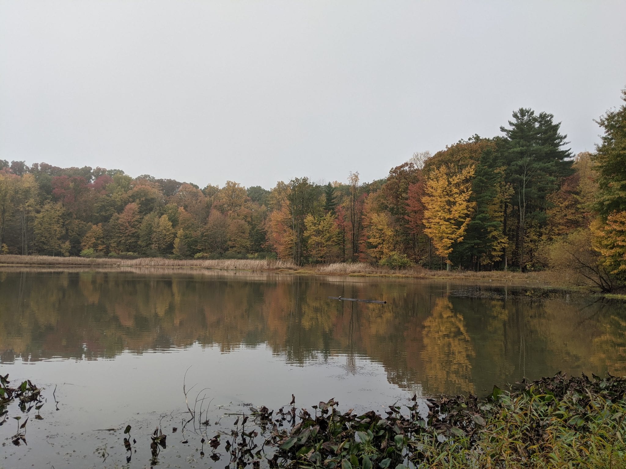 Cleveland Metroparks Guide - The Cleveland Moms