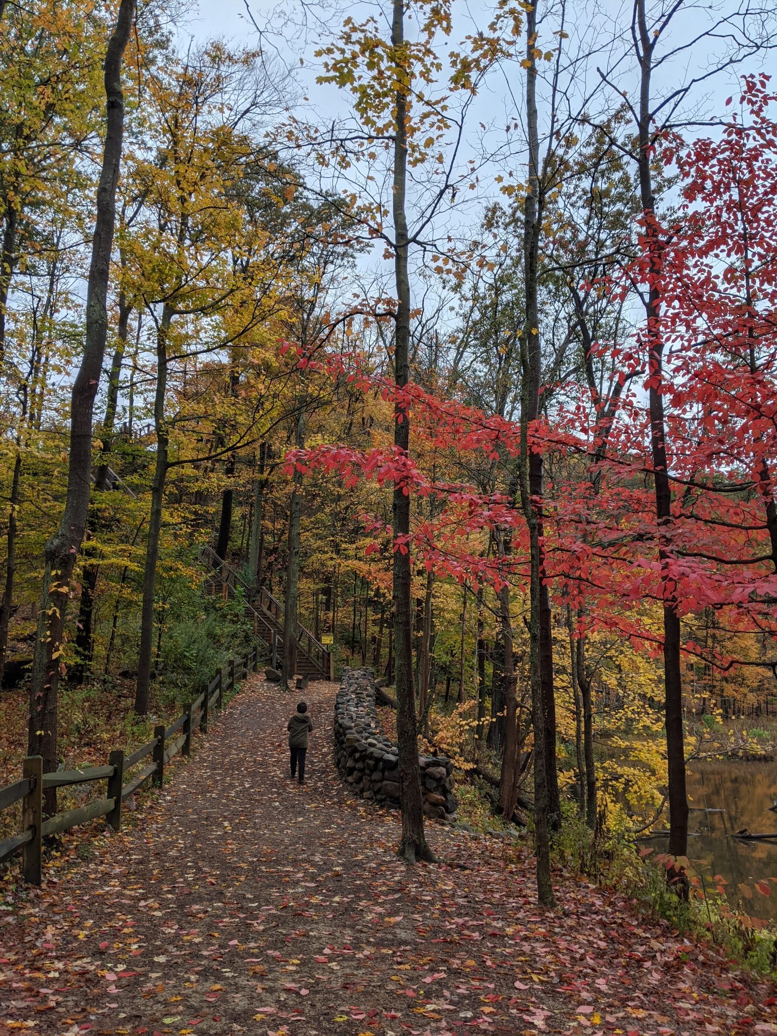 Cleveland Metroparks Guide - The Cleveland Moms