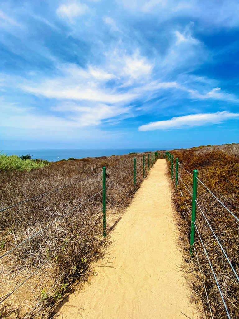 Dana Point Headlands Conservation Area - South OC Moms