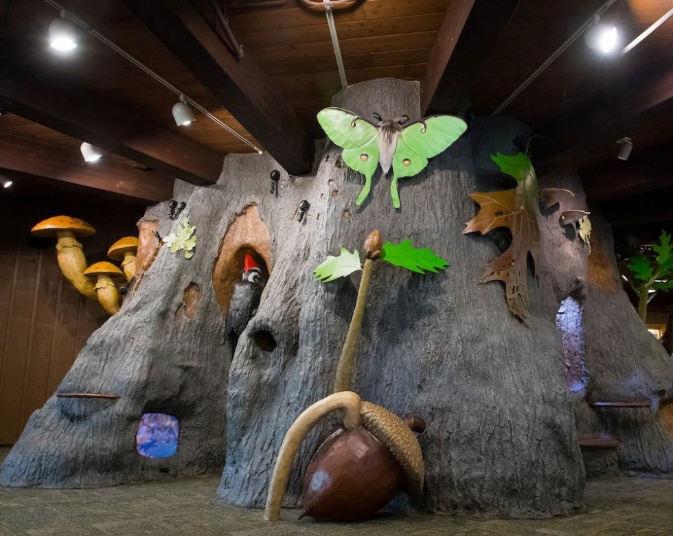 Attractions - The Cleveland Moms