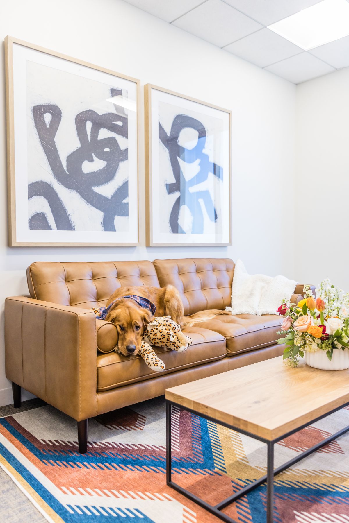 Harmony at Home - Newport Mesa Moms